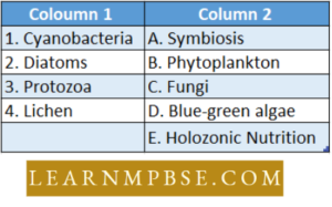 NEET Biology Multiple Choice Questions – Five Kingdoms Classification ...