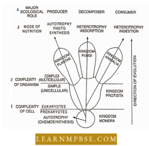 NEET Biology Notes – Five Kingdoms Classification – Learn MPBSE