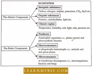 NEET Biology Ecosystem Notes – Learn MPBSE