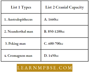 NEET Biology Evolution Of Man Multiple Choice Questions And Answers ...