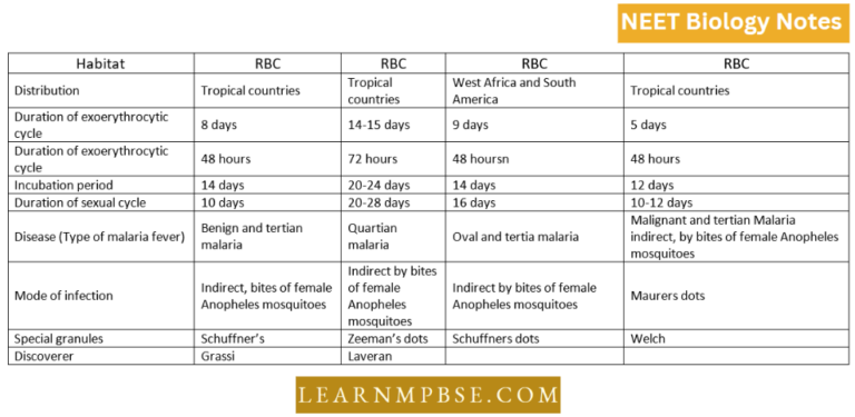 NEET Biology Notes – Kingdom Protista – Learn MPBSE