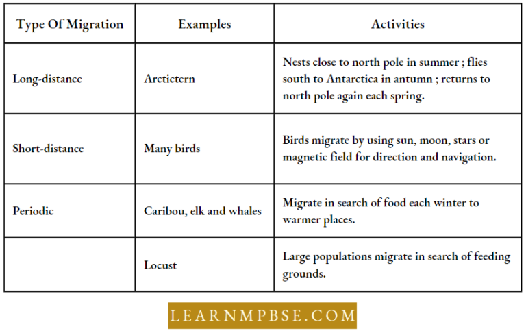 NEET Biology Notes – Organisms and Populations – Learn MPBSE