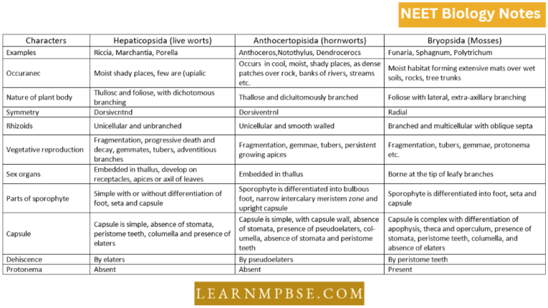 NEET Biology Notes – Plant Kingdom Bryophyta – Learn MPBSE