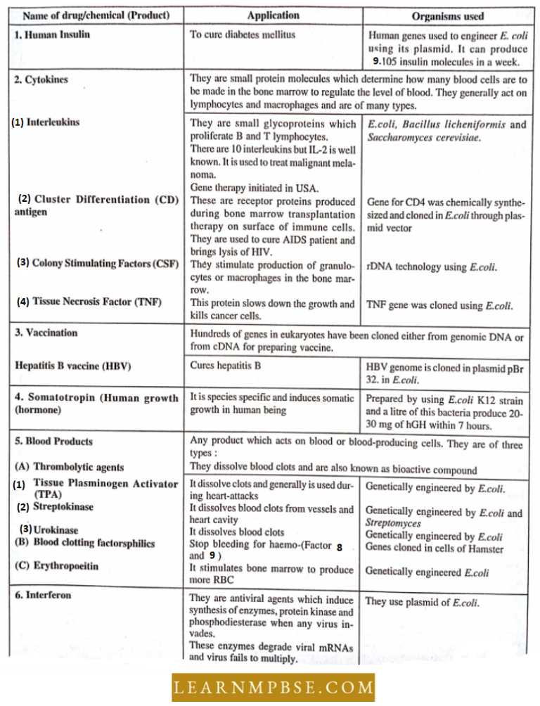 NEET Biology Notes – Principles And Processes Of Biotechnology – Learn ...