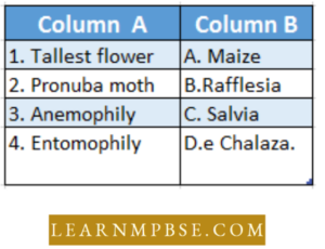 NEET Biology Multiple Choice Questions – Sexual Reproduction in ...