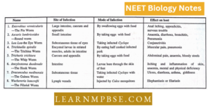 Classification Of Animal Kingdom – Non-chordates Notes for NEET – Learn ...
