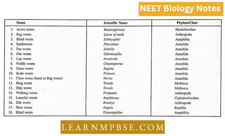 Classification Of Animal Kingdom – Non-chordates Notes for NEET – Learn ...