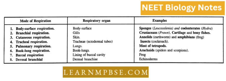 Classification Of Animal Kingdom – Non-chordates Notes for NEET – Learn ...