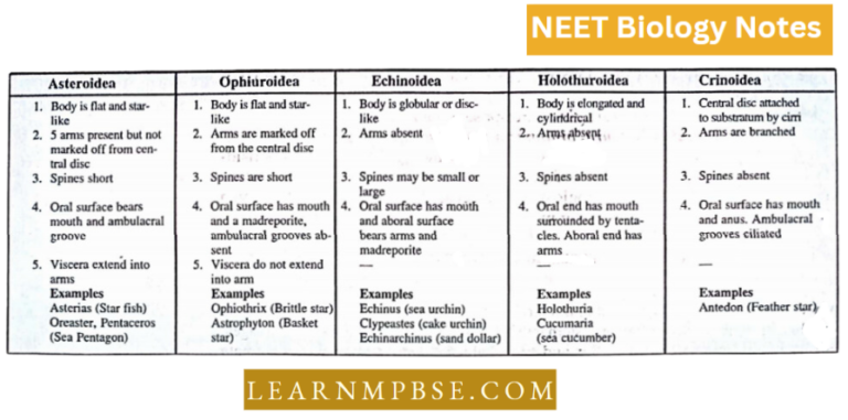Classification Of Animal Kingdom – Non-chordates Notes for NEET – Learn ...