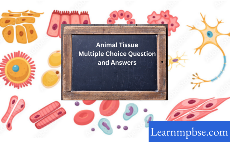Animal Tissues MCQ for NEET Biology – Learn MPBSE