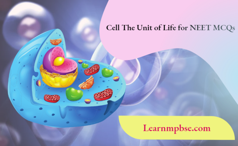 Cell The Unit of Life for NEET MCQs – Learn MPBSE